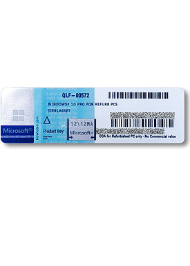 MS Windows 11 Pro ESD - Computer Store Neckartenzlingen